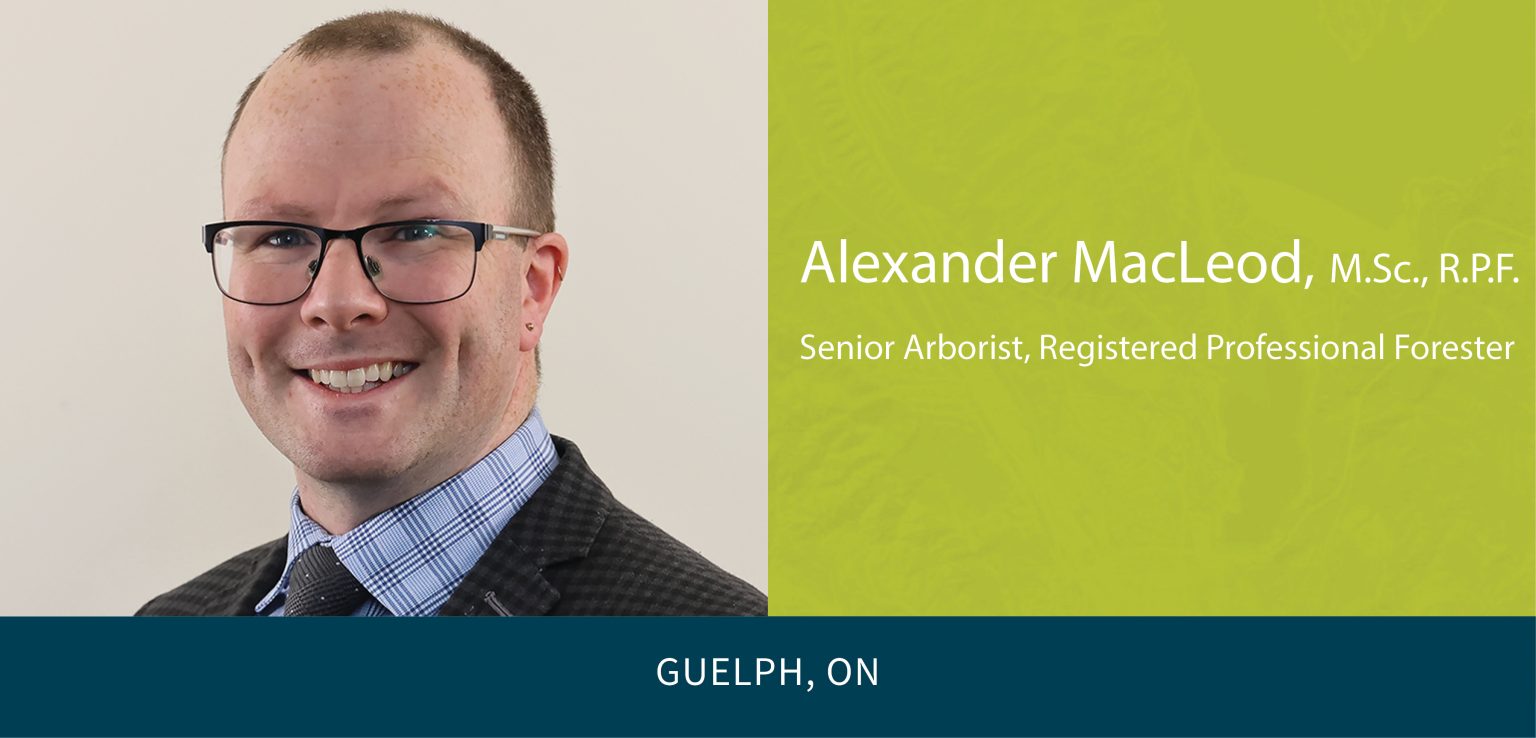 Insights - GEI Canada
